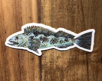 Lingcod - Etsy