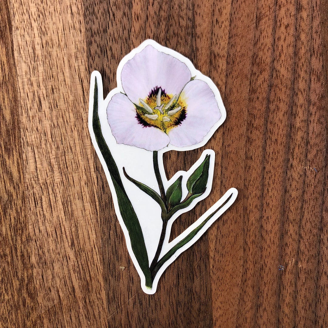 Mariposa Lily Sticker for Waterbottle, Laptop, Etc.! - Etsy
