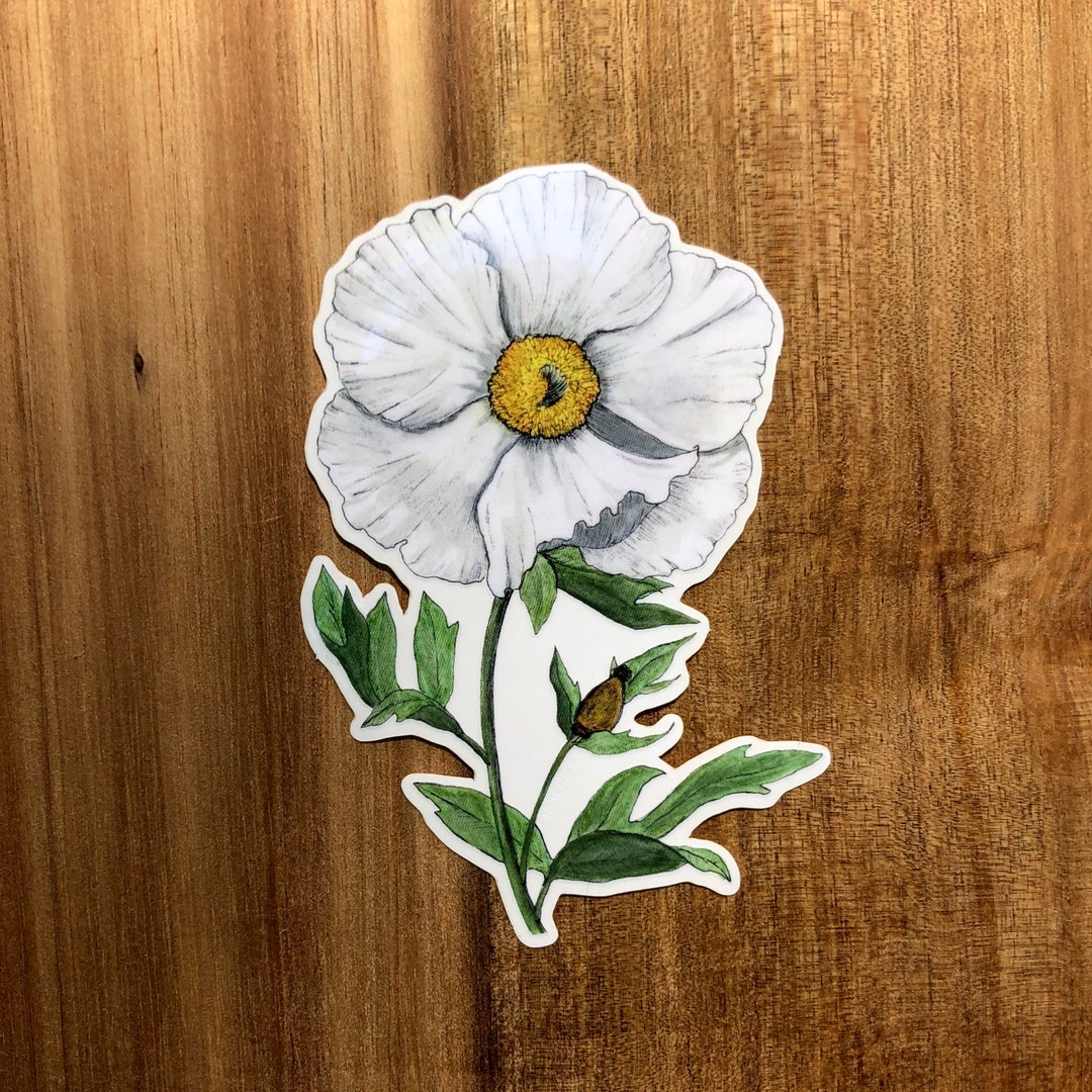 Matilija Poppy Sticker for Waterbottle, Laptop, Etc.! - Etsy