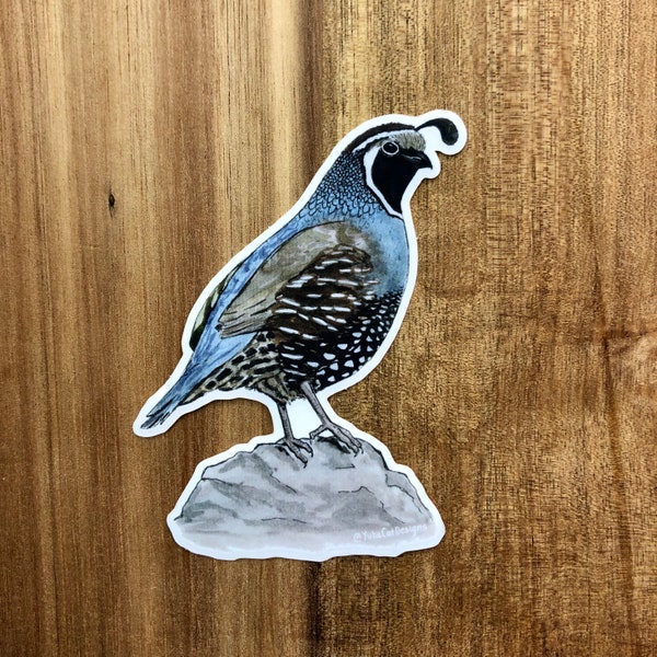 Quail Stickers - Etsy