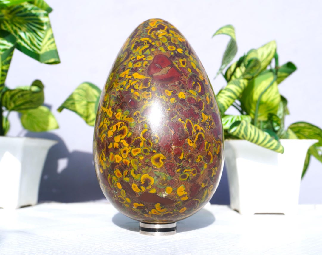 Fossil Coral Jasper Stone Egg: Natural Fruit Jasper, Metaphysical ...