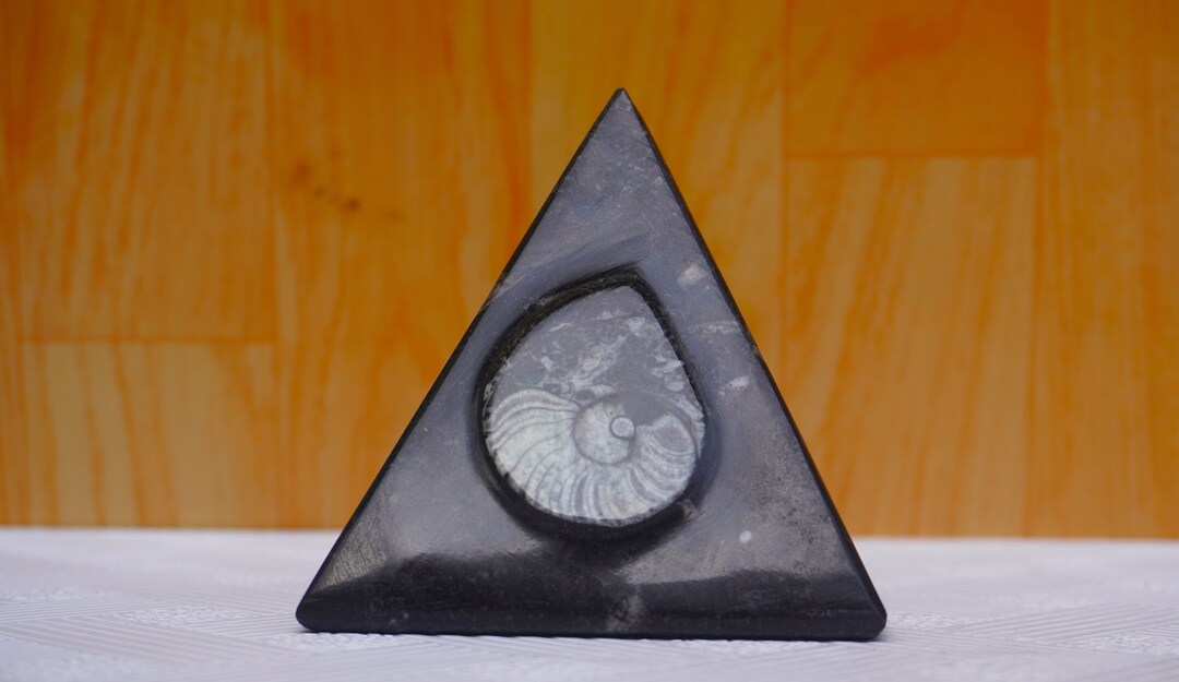 RARE Orthoceras Ammonite Fossil Pyramid: Metaphysical Stone Decor ...