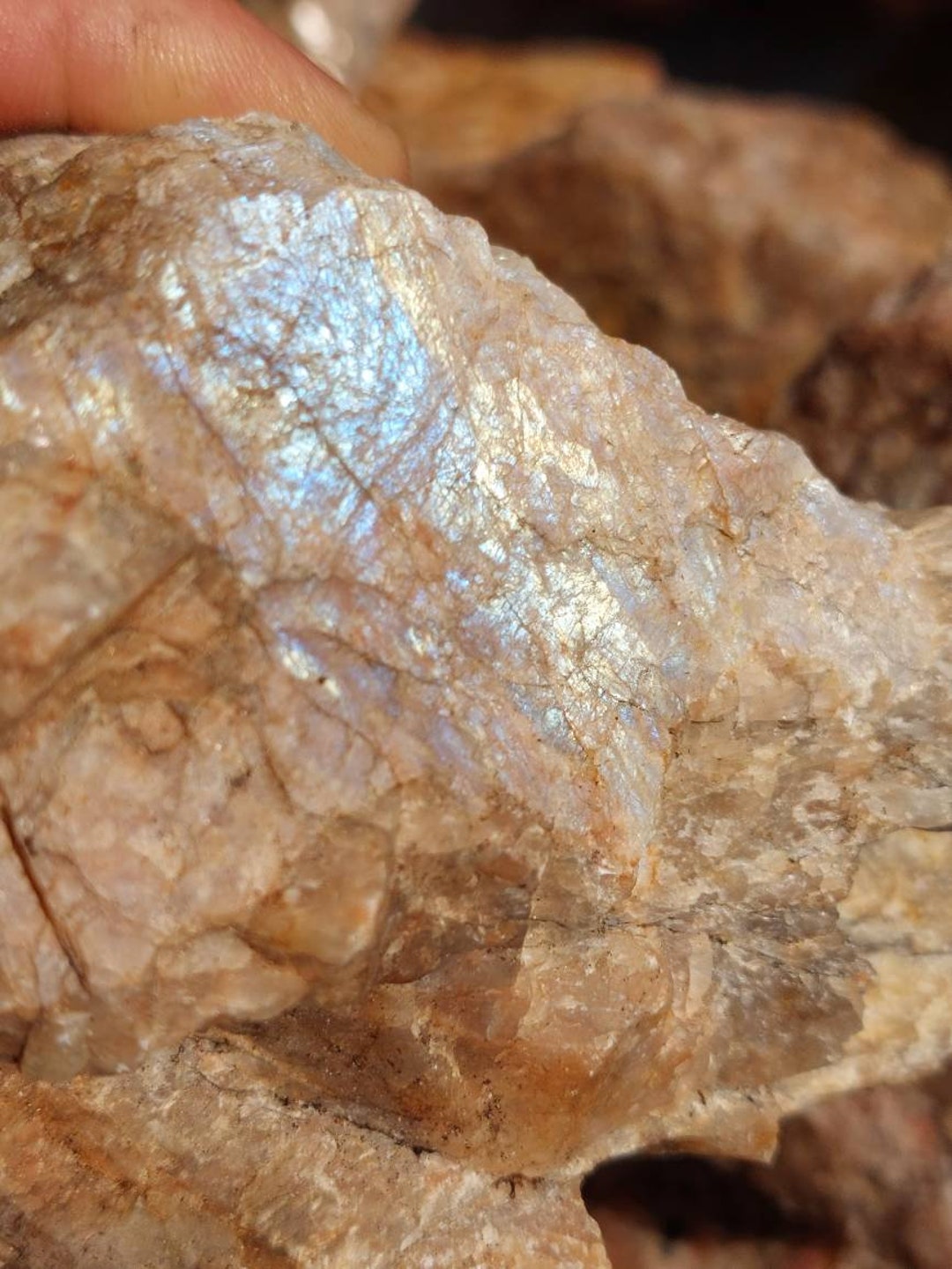 Fishscale Peristerite Mixed Lot - 5lb - Etsy