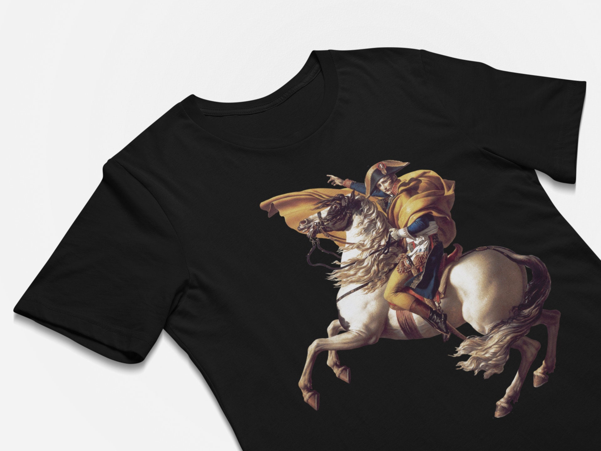 Napoleon t-shirt Art History shirt | Etsy