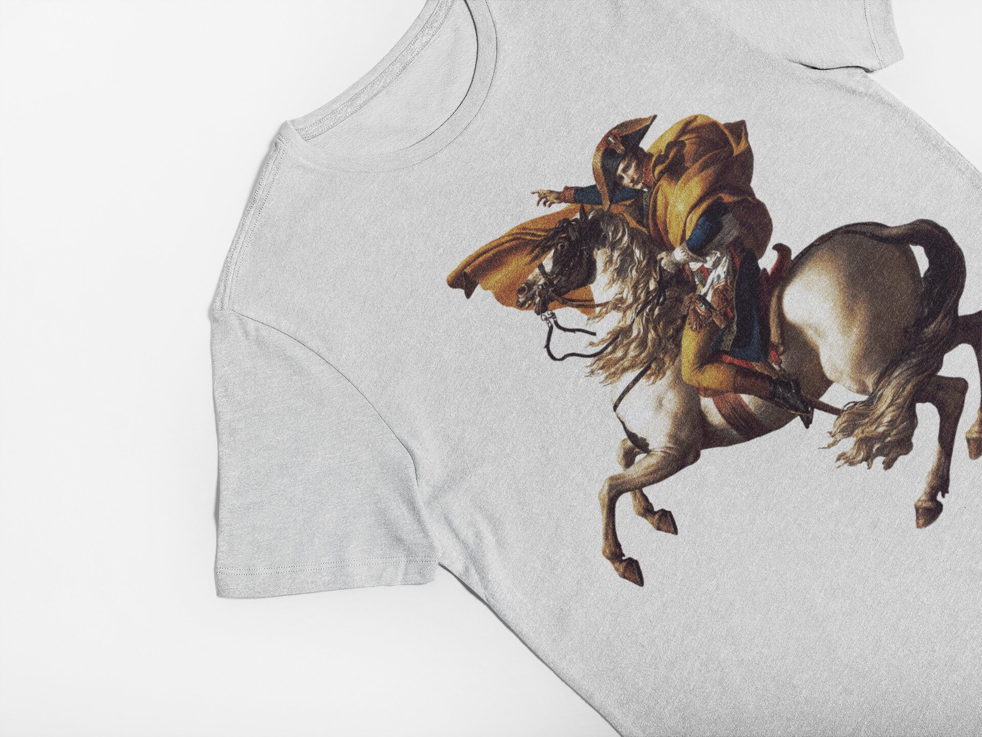 Napoleon t-shirt Art History shirt | Etsy