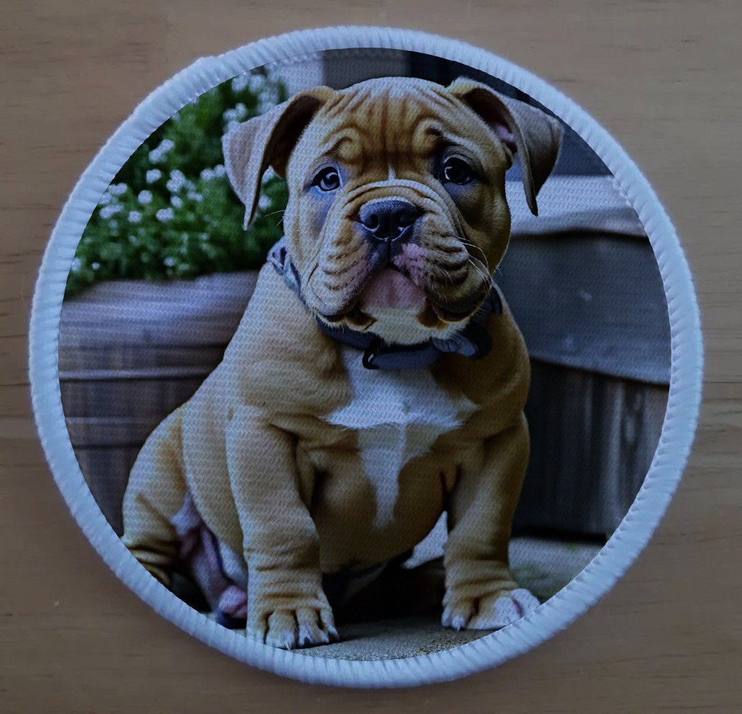 XL Bully 3 Inch Sublimation Patch Badge - Etsy