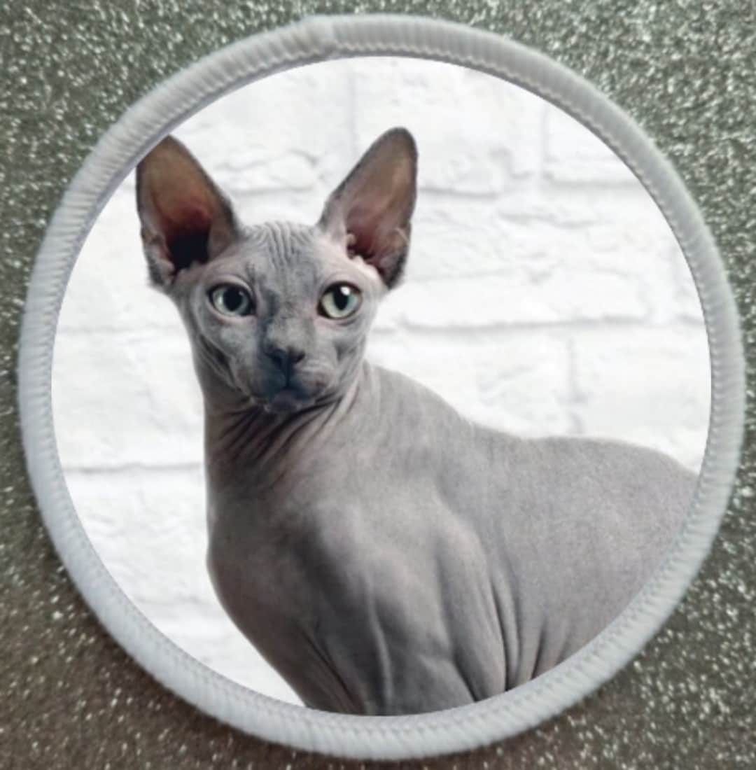 3 Inch Sphynx Cat Sublimation Patch Badge - Etsy