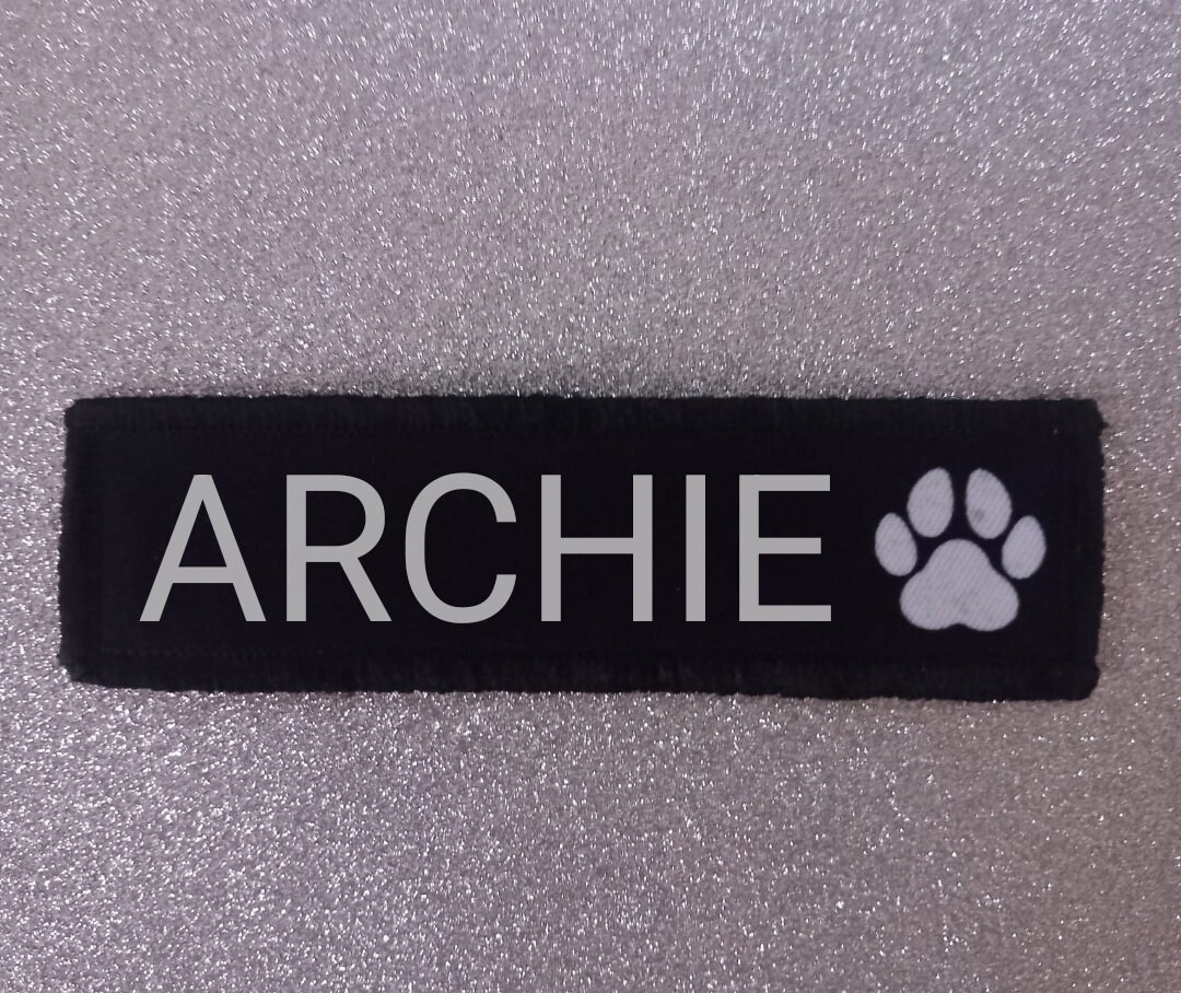 4.5 X 1.5 Inch Archie Dog Name Dog Harness Hook & Loop Patch Badge - Etsy