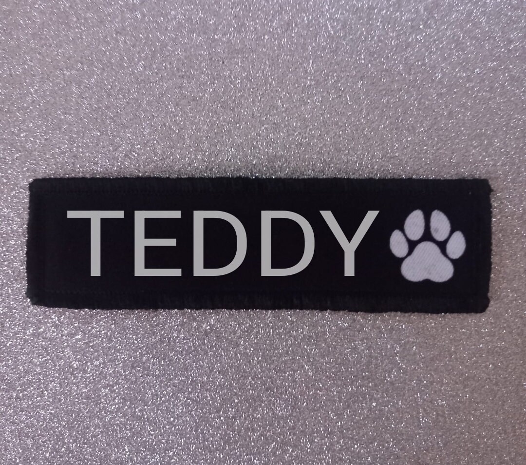 4.5" X 1.5" Inch Teddy Dog Name Dog Harness Hook & Loop Patch Badge - Etsy