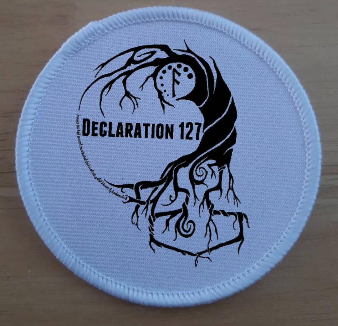 Declaration 127 Patch Badge - Etsy