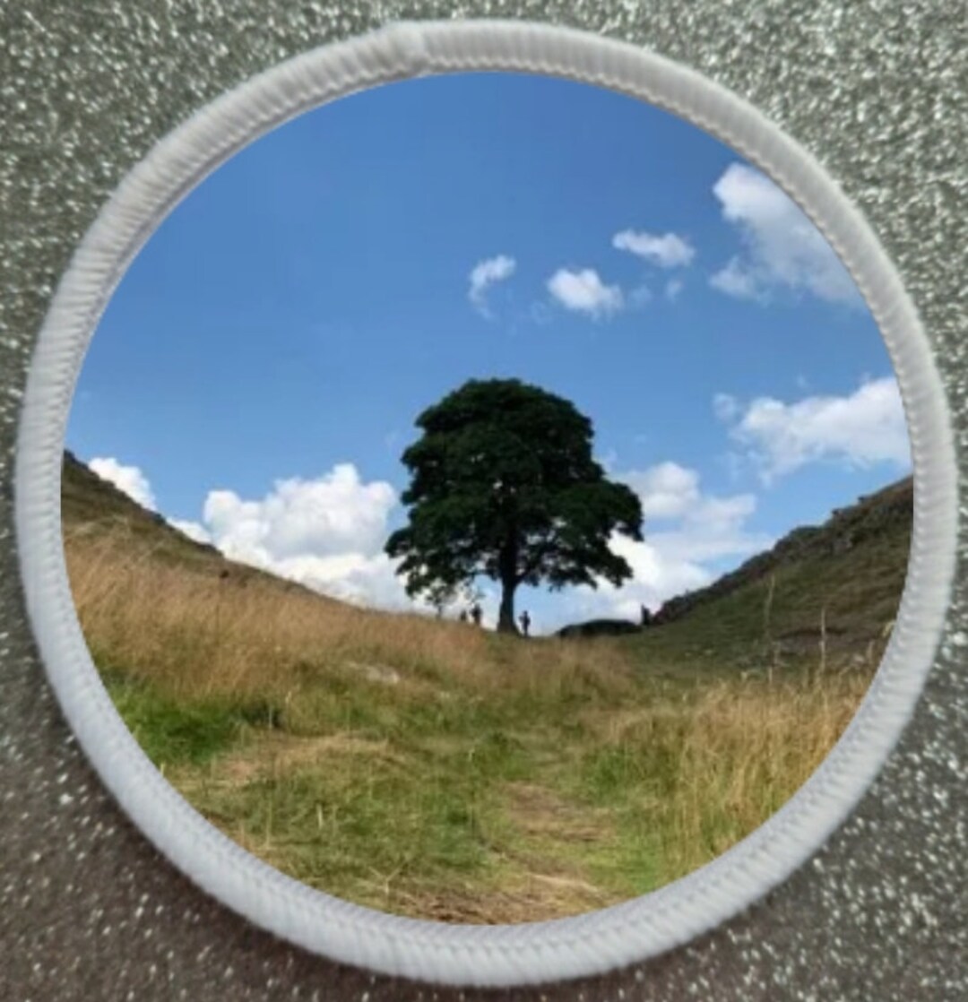 3 Inch Sycamore Gap Tree Hadrians Wall Patch Badge - Etsy