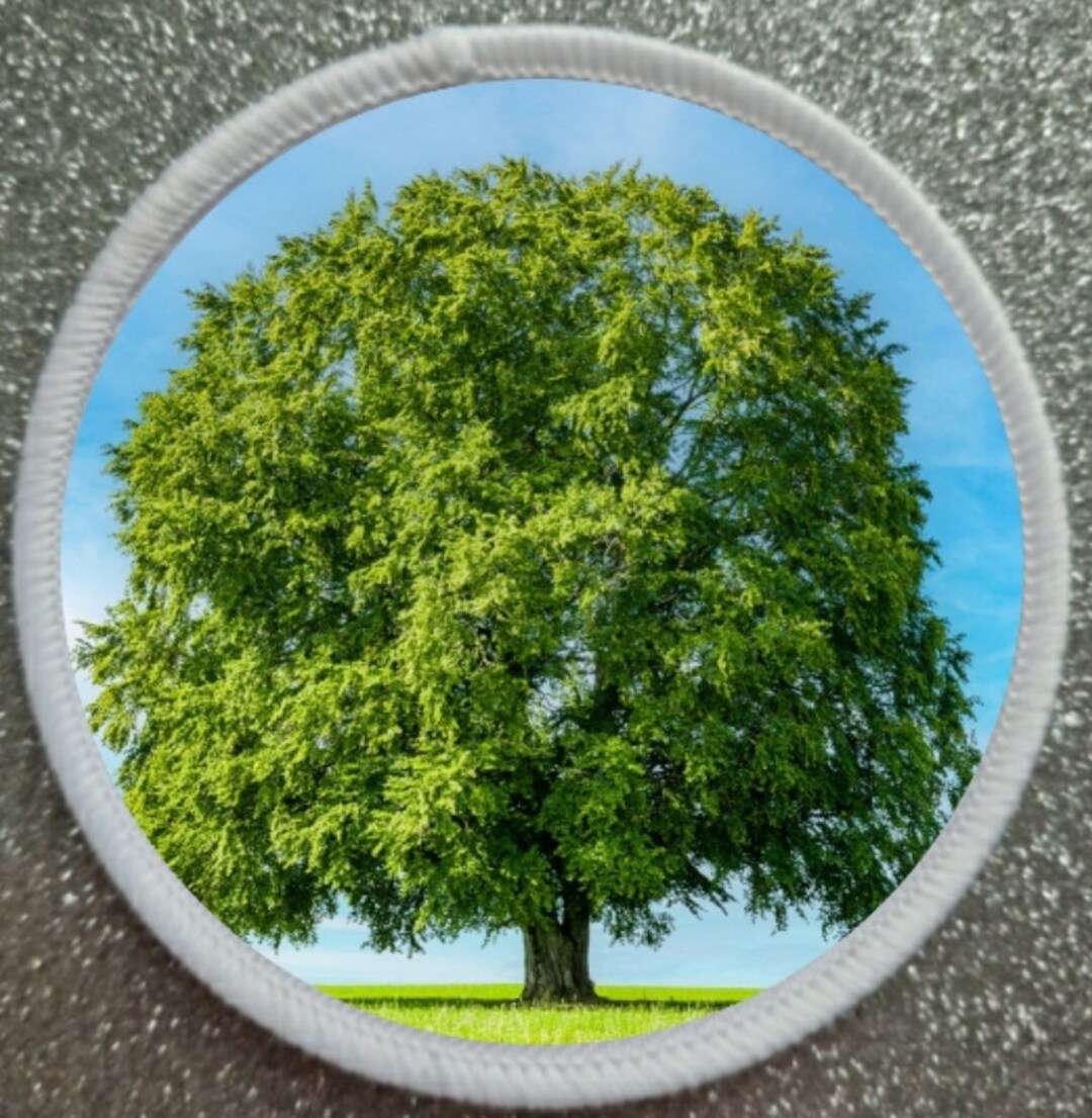 3 Inch Sycamore Tree Patch Badge - Etsy
