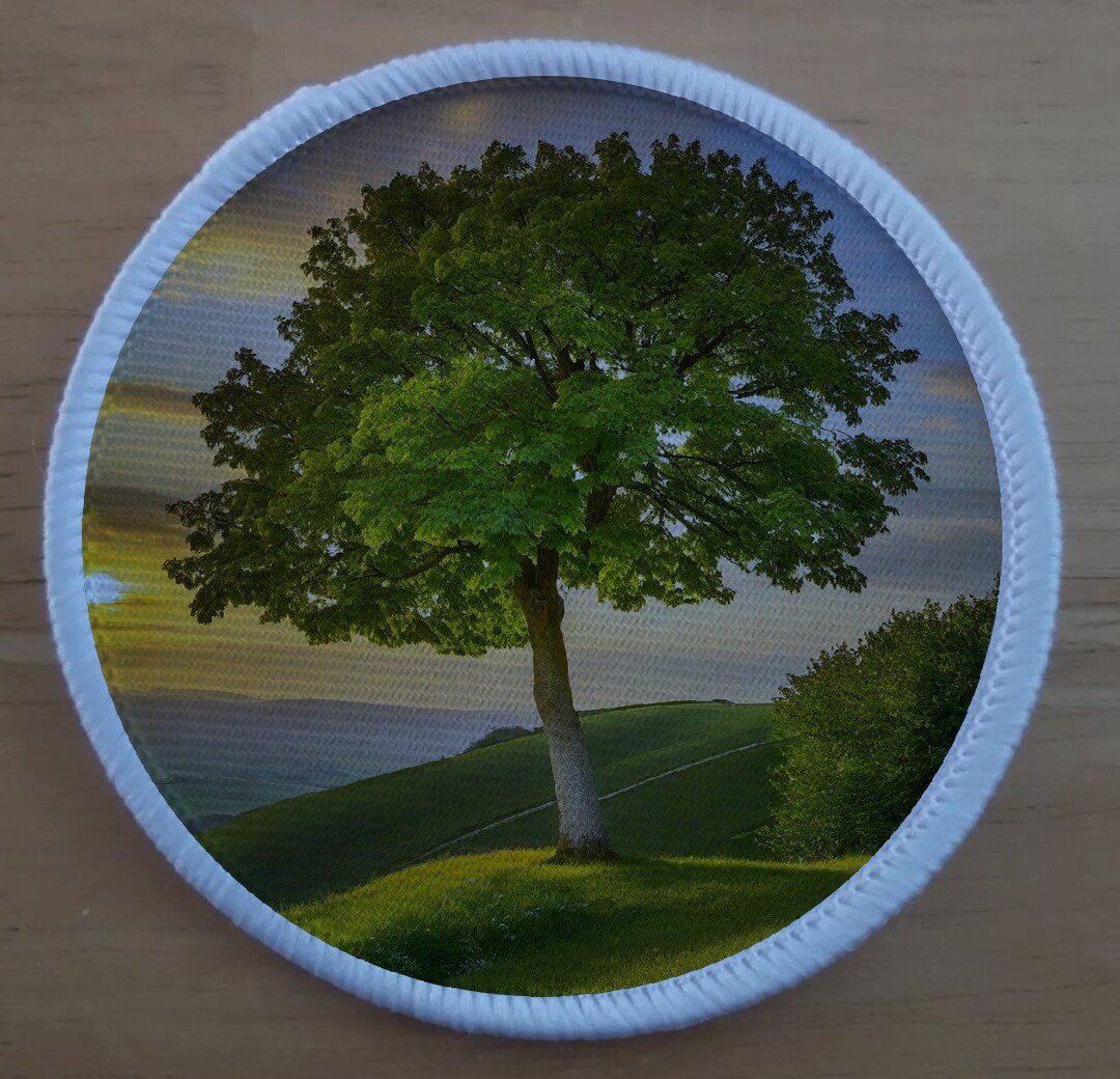3 Inch Sycamore Tree Hadrians Wall Patch Badge - Etsy