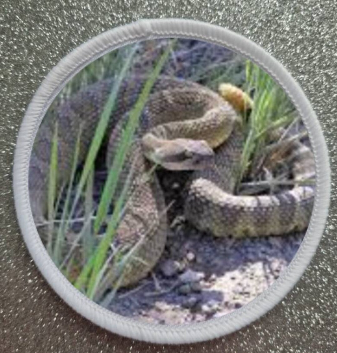 Rattlesnake 3 Inch Patch Badge - Etsy
