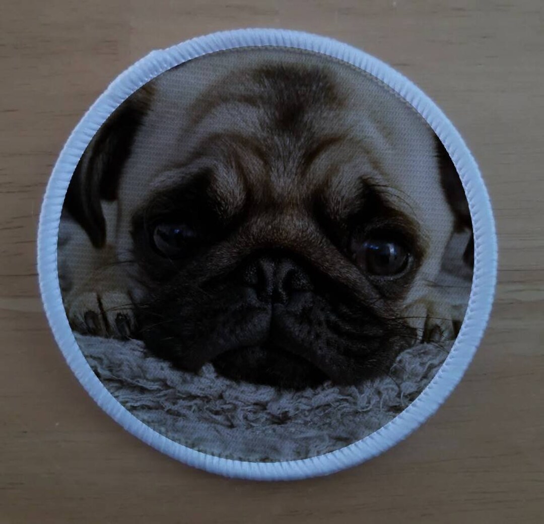 Pug Patch Badge - Etsy