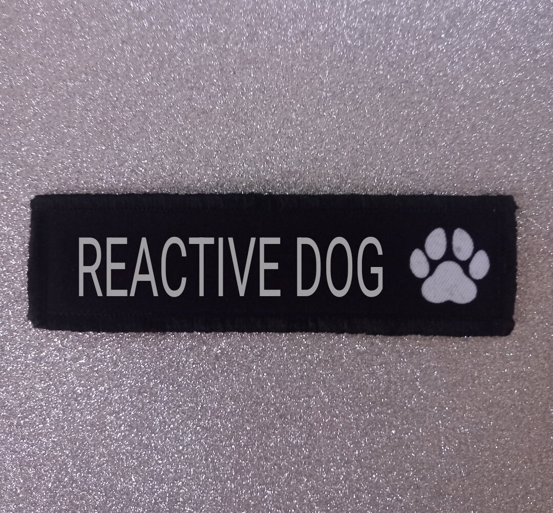 1.5 X 4.5 Inch Reactive Dog. Dog Harness Vel Hook Backed Patch - Etsy