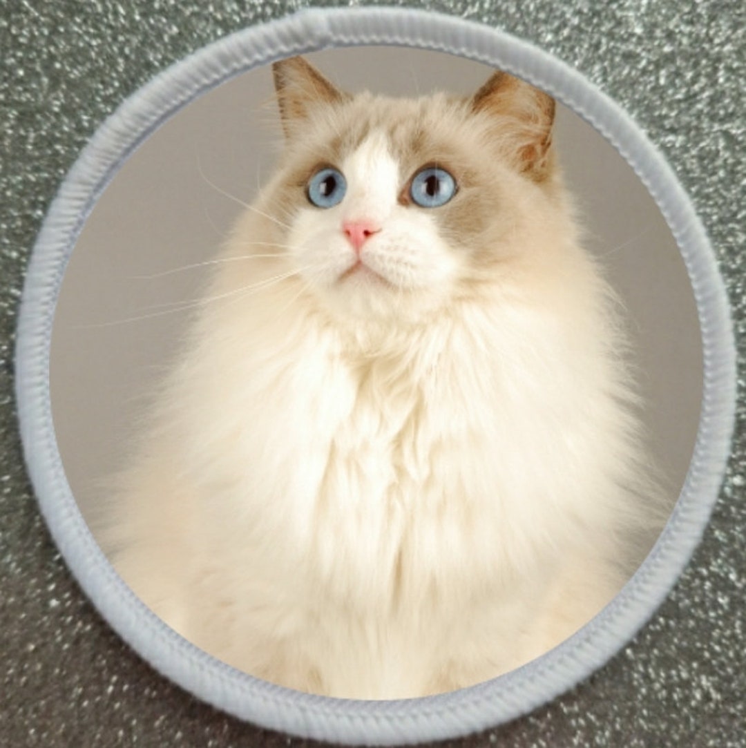 3 Inch Ragdoll Cat Sublimation Patch Badge - Etsy