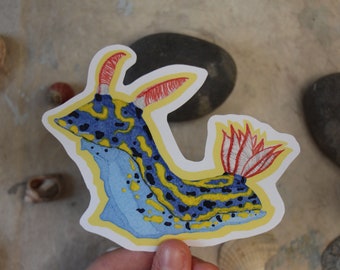 Sea Slug Sticker - Etsy
