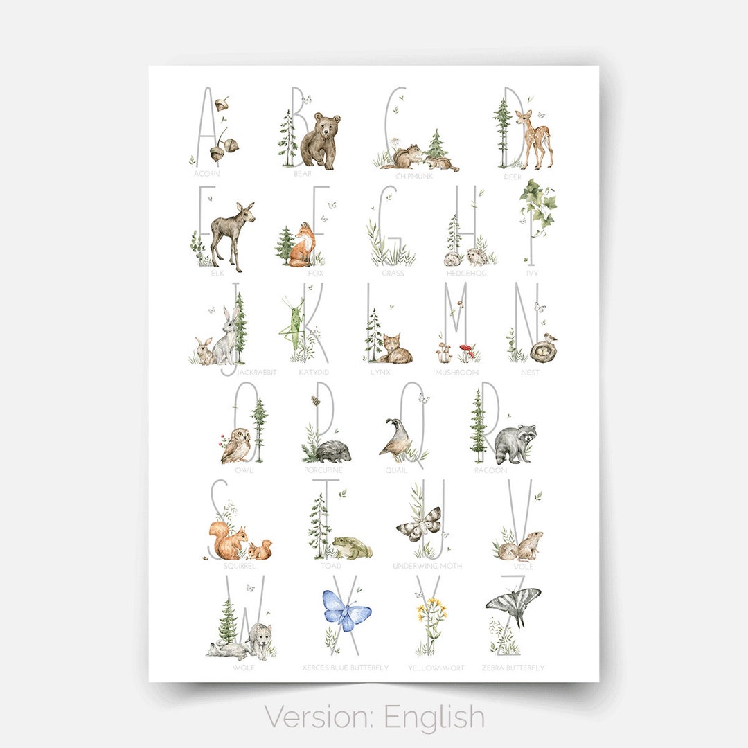 Woodland Print - Magical Forest - Alphabet - Etsy