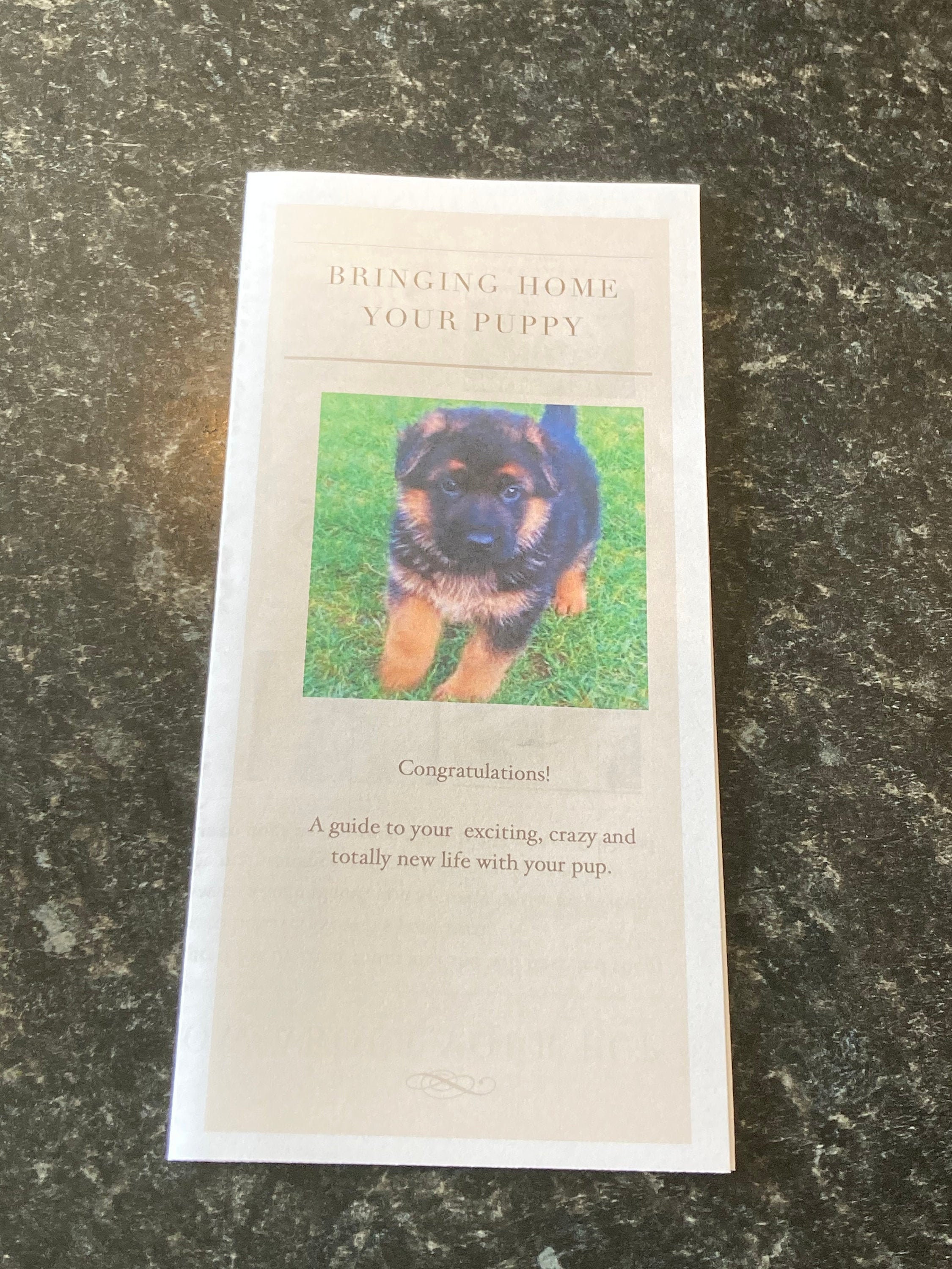 Bringing Home Your Puppy Leaflet - Etsy