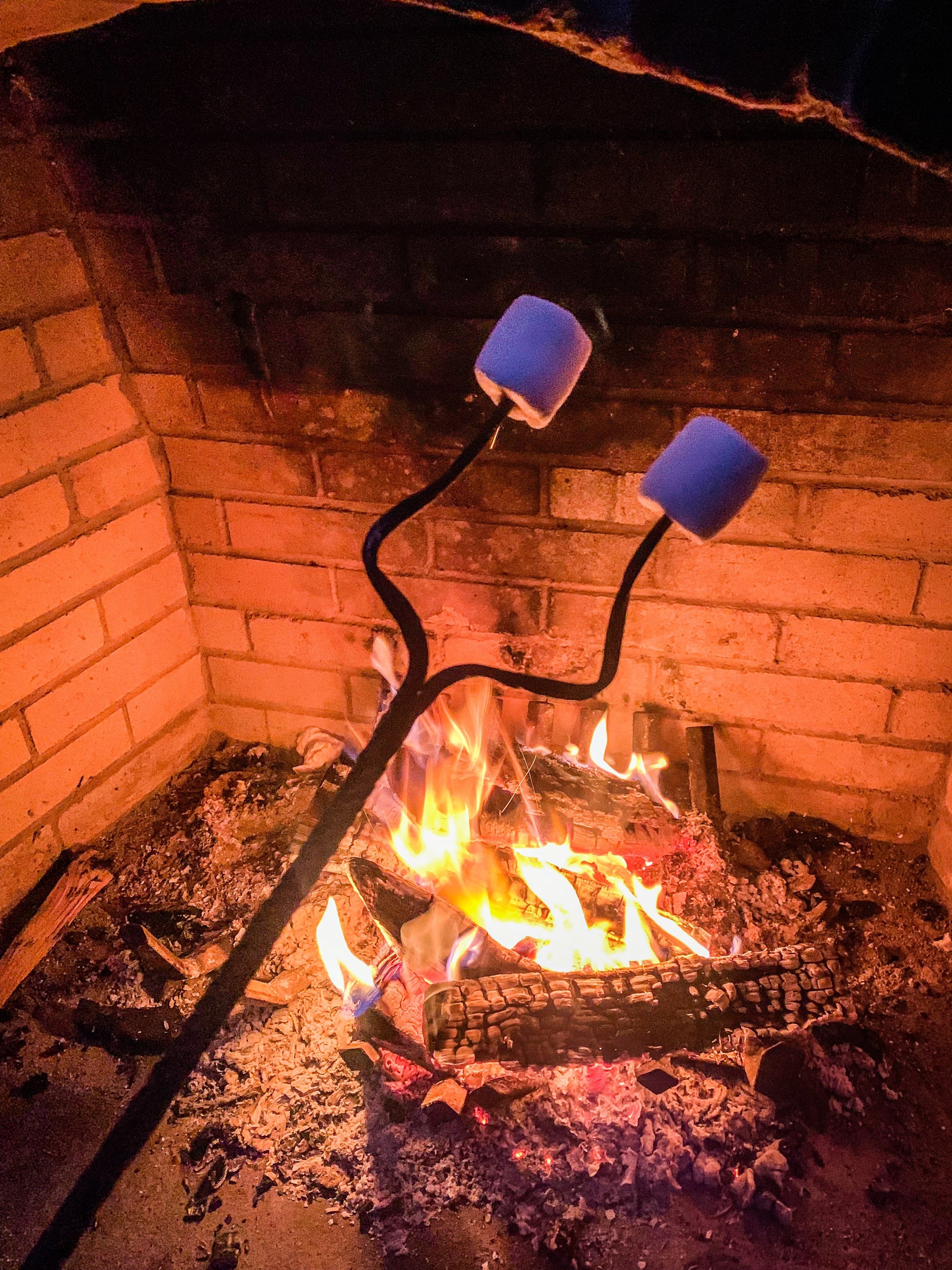 Campfire Roasting Fork - Etsy