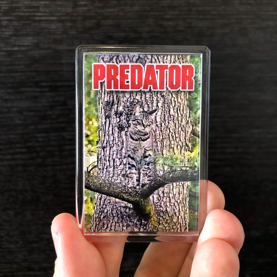 Predator Cat Fridge Magnet Hand Made 2.75x1.75 - Etsy