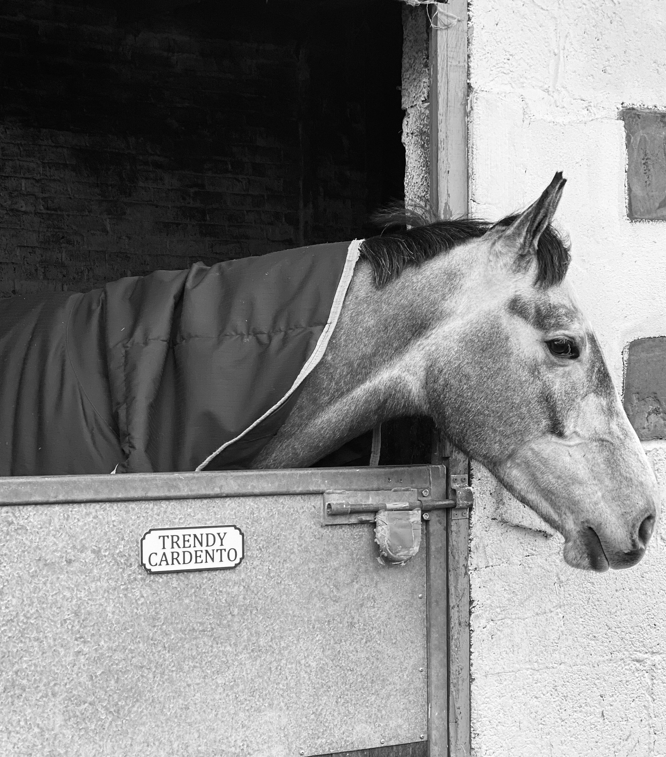 Personalised Stable Door Sign Double Classic - Etsy UK