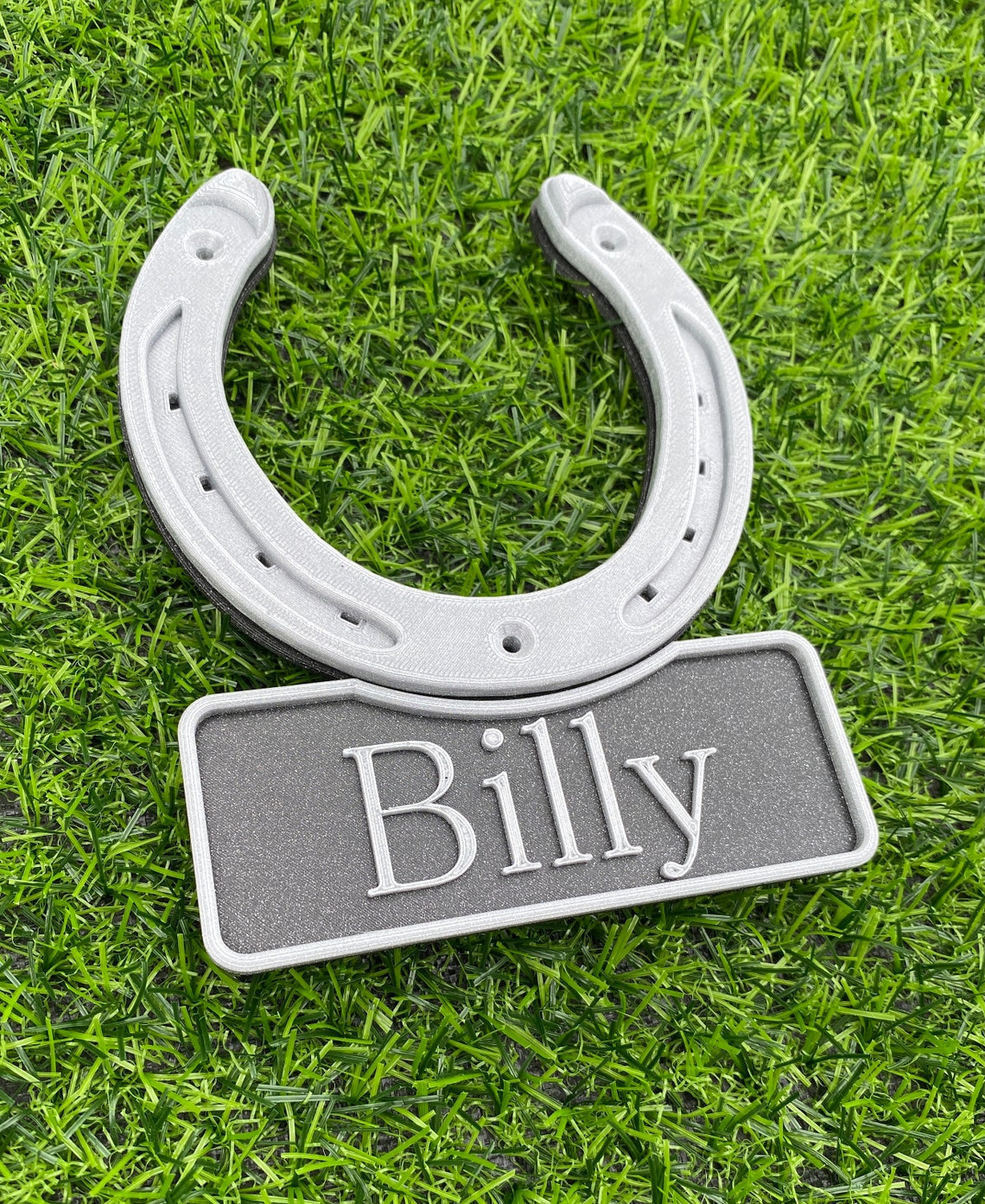 Personalised Stable Door Name Plate Metallic Range | Etsy UK