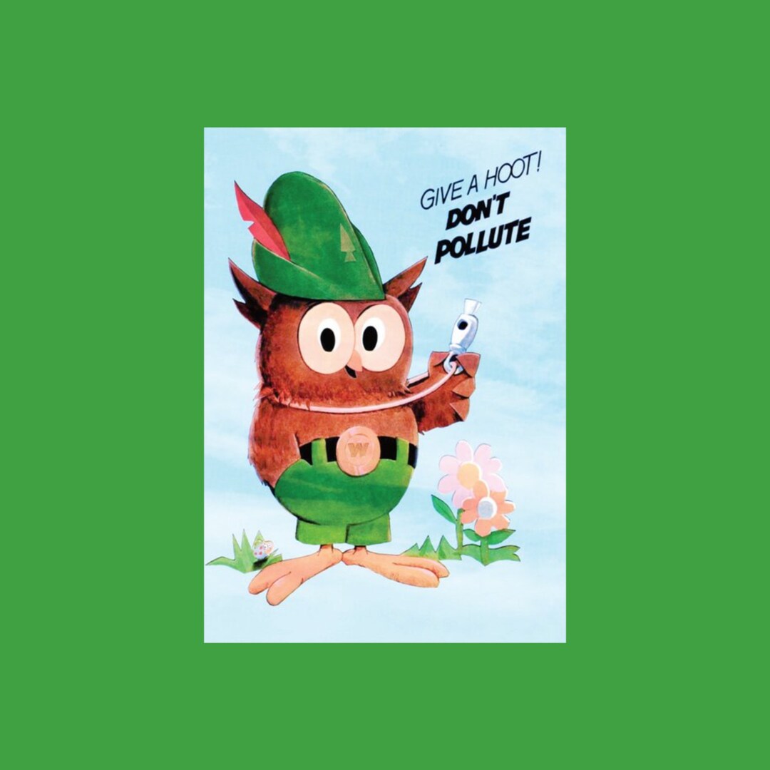 Fun Retro Woodsy the Owl Postcard, Give A Hoot Dont Pollute Postcards ...