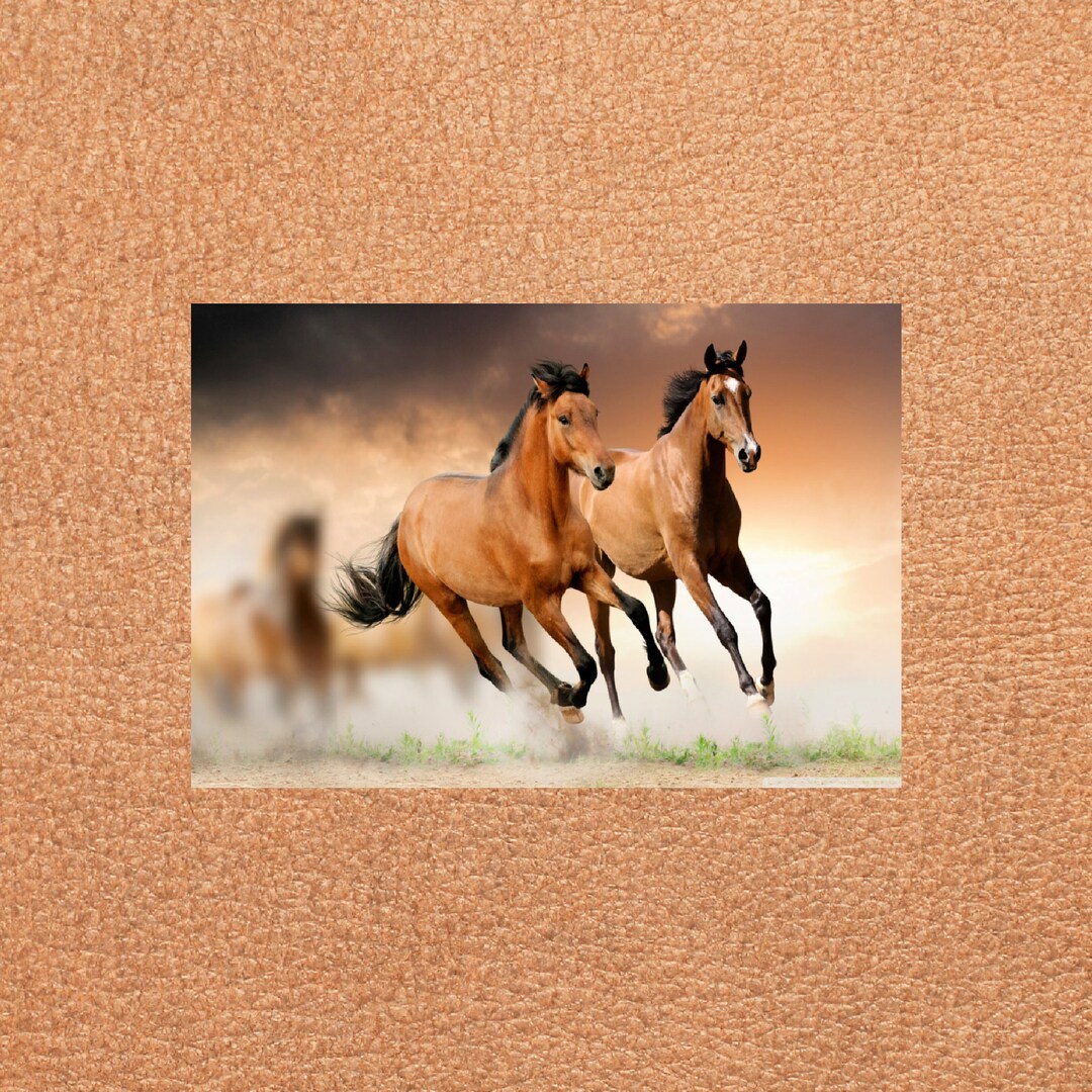 Awesome Animals Postcard, Horse Postcards, Horses Postcard, Animal ...