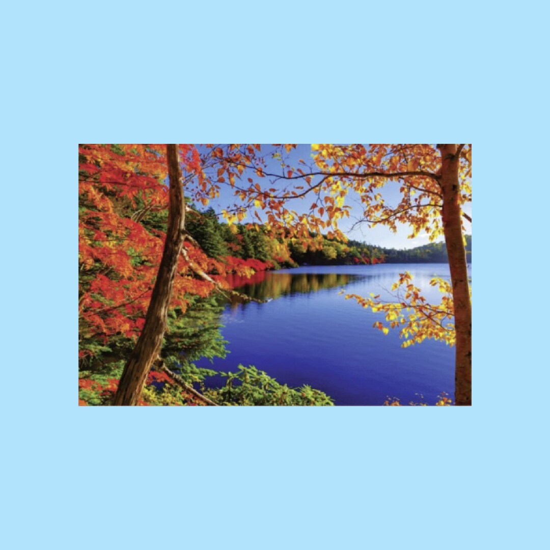 Stunning Scenic Autumn Postcard, the Four Seasons, I Love the Fall ...