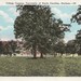 Vintage University of North Carolina Postcard, UNC Durham Postcard ...
