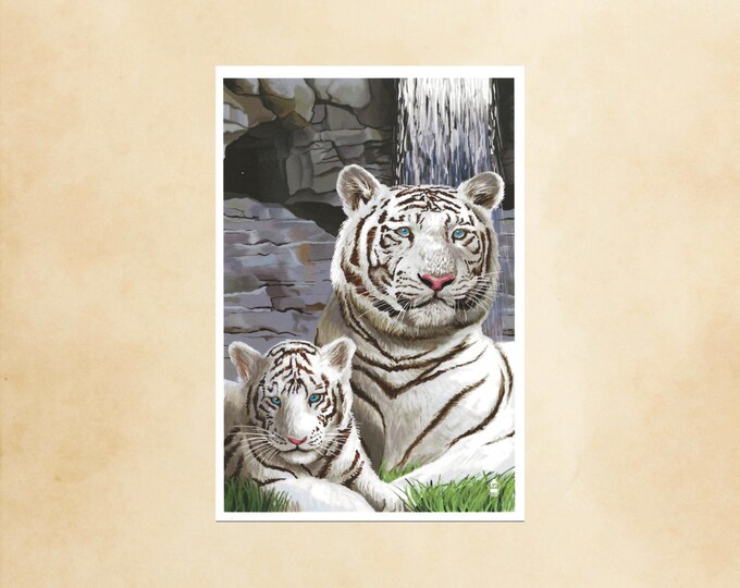 Modern White Tiger Postcard, Tiger Postcards, Animal Postcards, Wild ...
