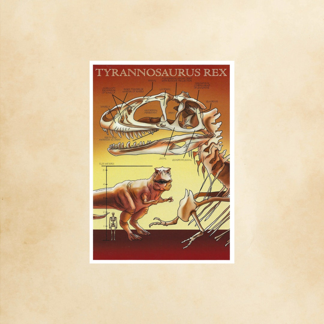 Modern Tyrannosaurus Rex Postcard, Cool T-rex Postcard, Dinosaur ...
