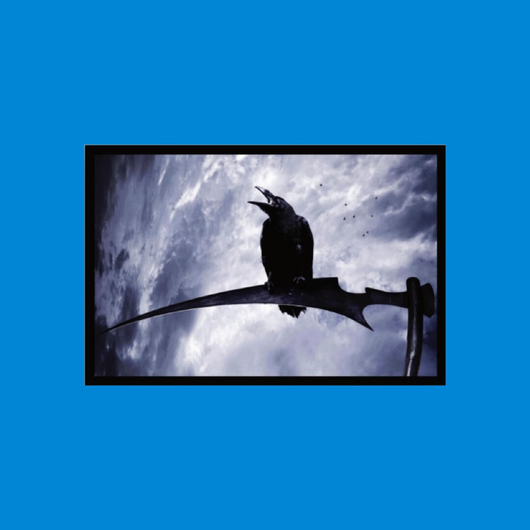 Very Cool Raven Grim Reaper Scythe Postcard, Edgar Allan Poe Postcard ...