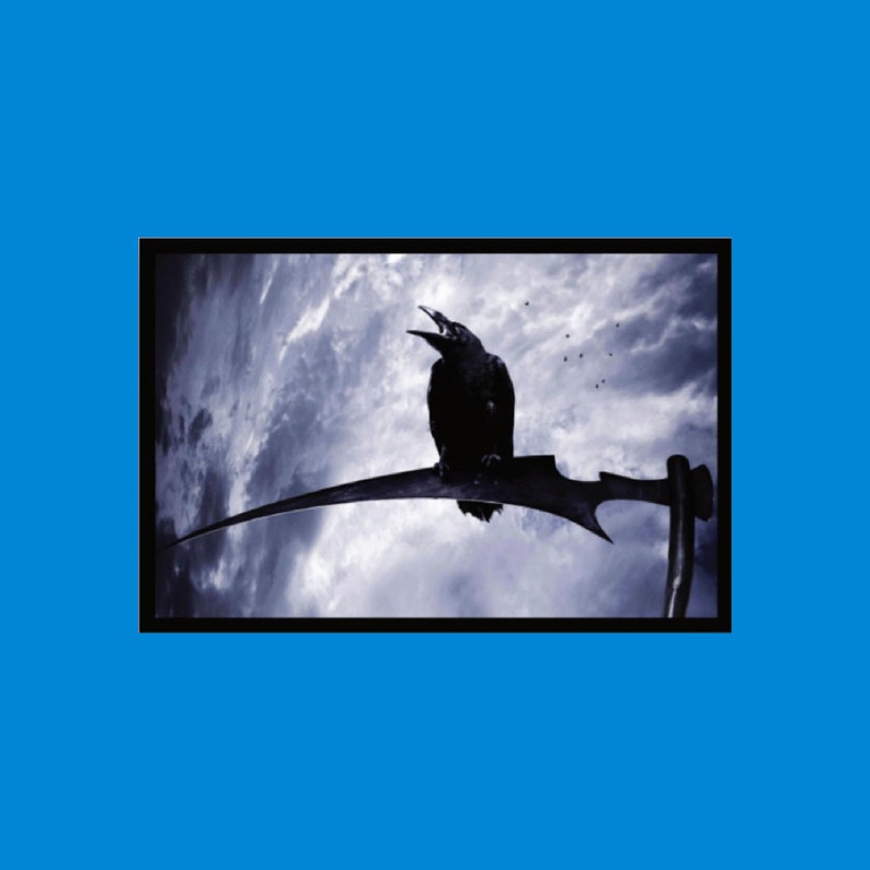 Very Cool Raven Grim Reaper Scythe Postcard Edgar Allan Poe - Etsy