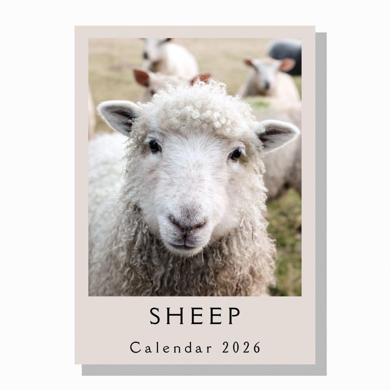 Sheep Desk Calendar 2026 - Etsy