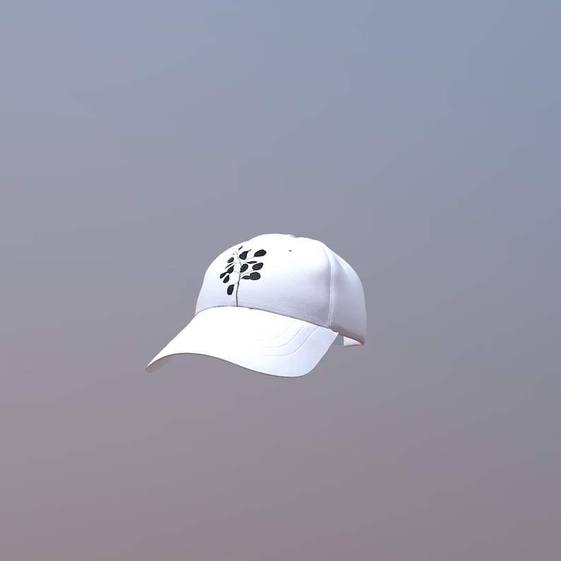 Procreate 3D Model Cap | 3D Cap Mockup | Procreate 3D Model Hat - Etsy