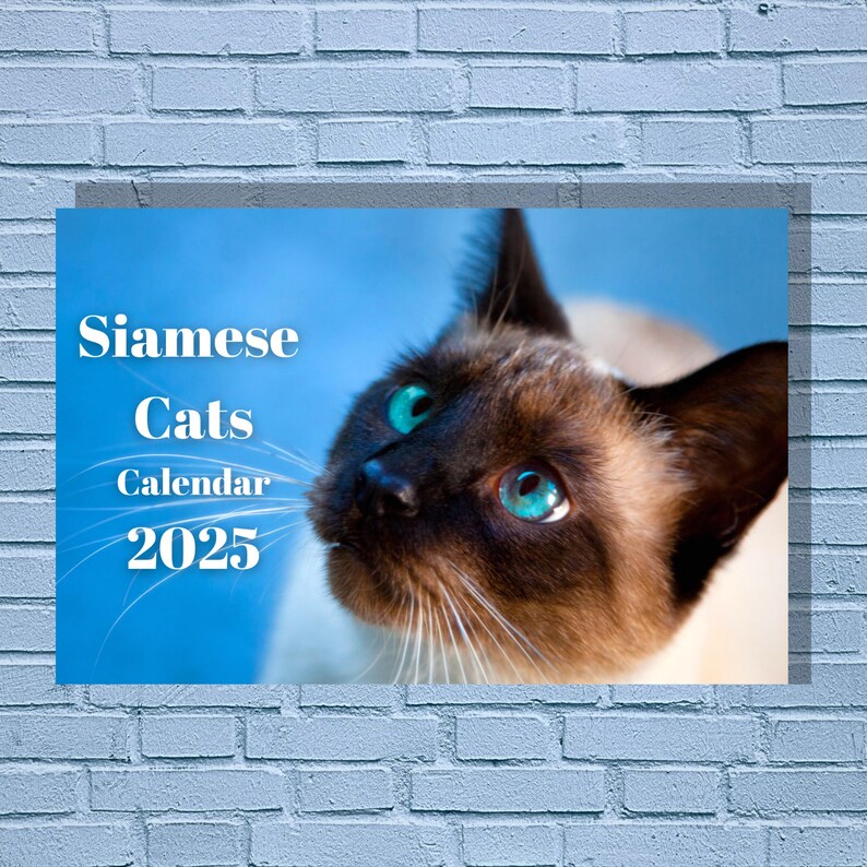 Siamese Cats 2025 Calendar - Etsy
