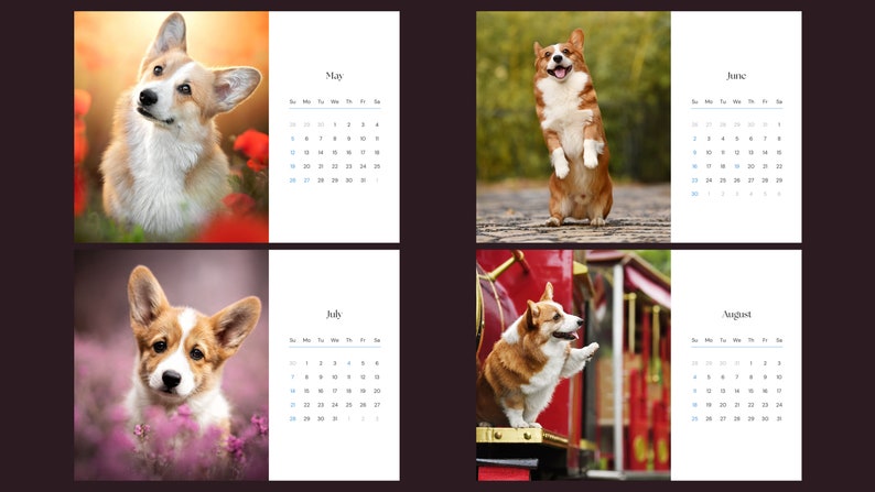 Corgi 2024 Calendar Printable - Etsy