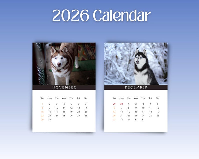 Siberian Husky 2026 Calendar - Etsy