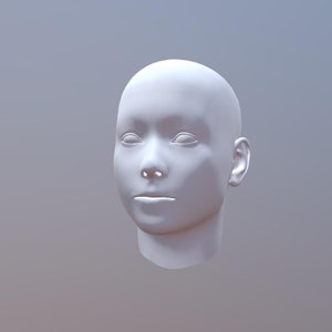 Procreate 3D Tatoo Model Male Female Body and Head | 3D Male Female ...
