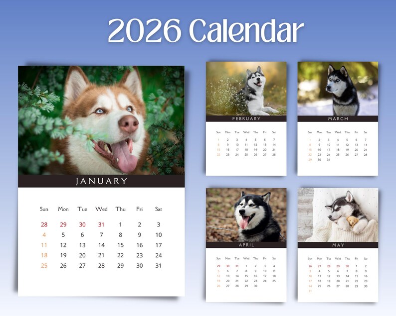 Siberian Husky 2026 Calendar - Etsy