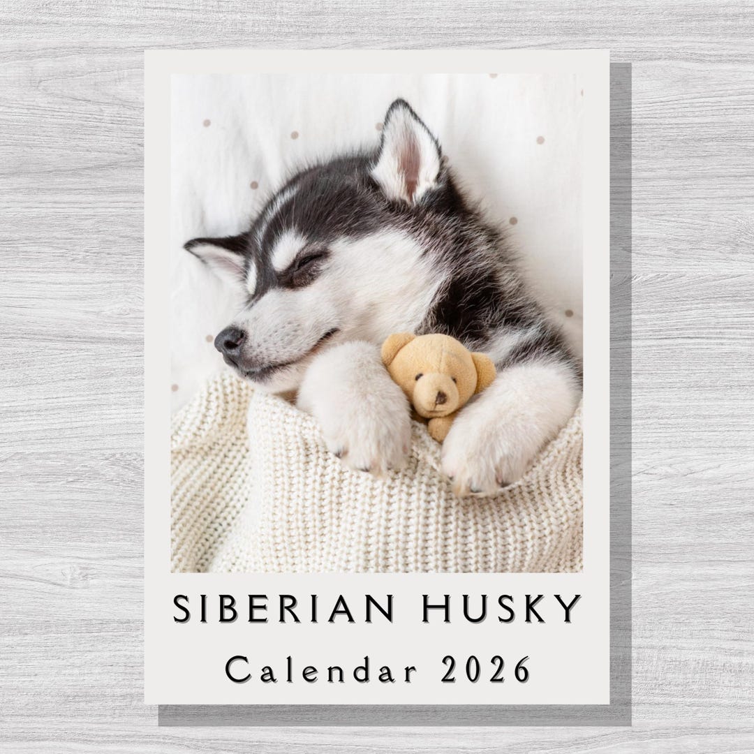 Siberian Husky 2026 Calendar - Etsy