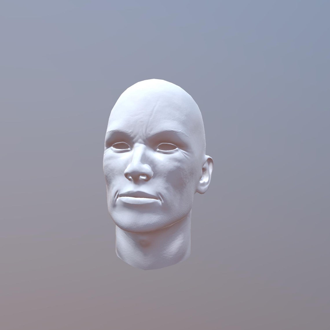 Procreate 3D Tatoo Model Male Female Body and Head 3D Male Female Body ...