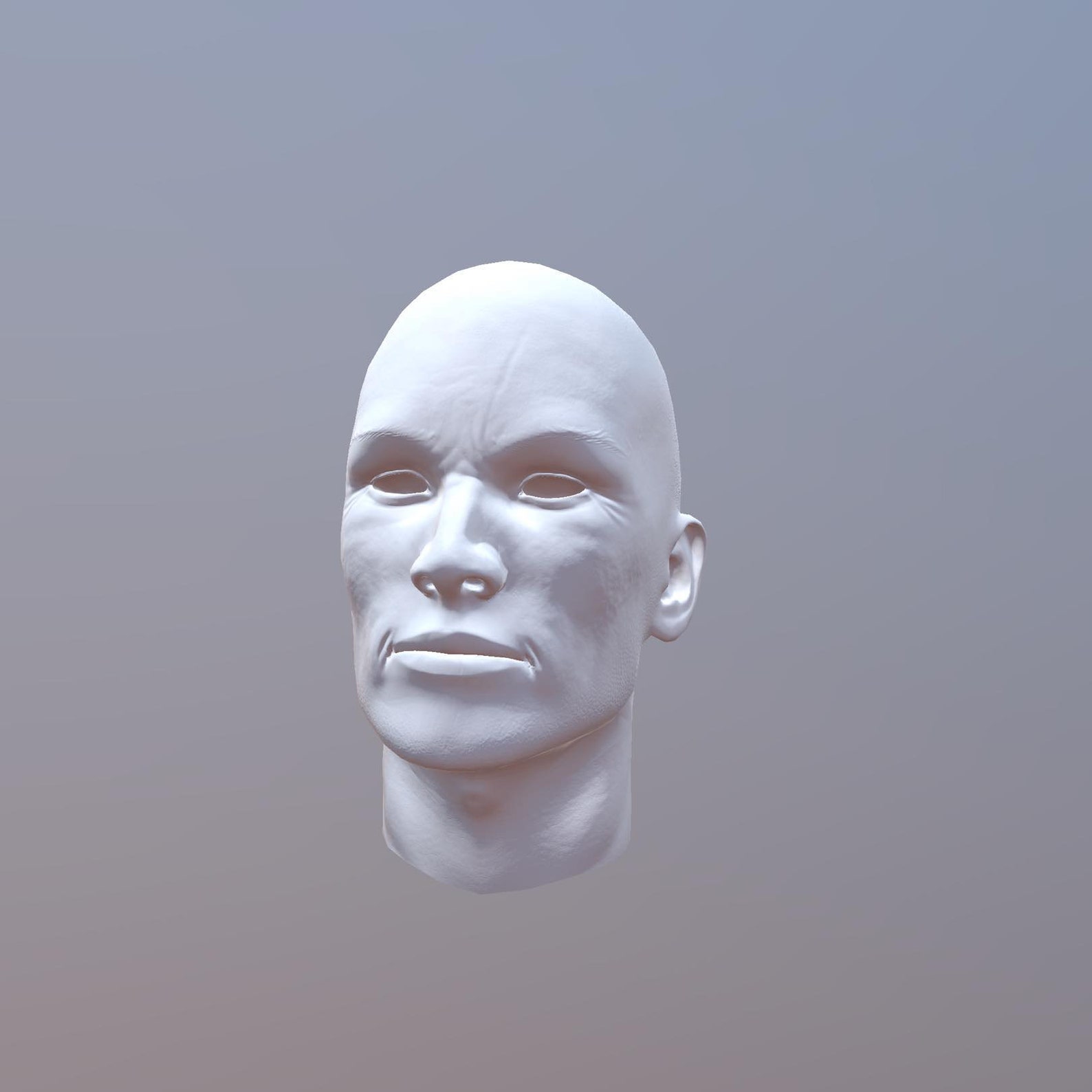 Procreate 3D Tatoo Model Male Female Body and Head 3D Male Female Body ...