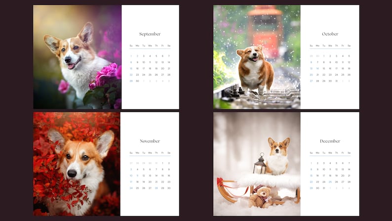 Corgi 2024 Calendar Printable - Etsy