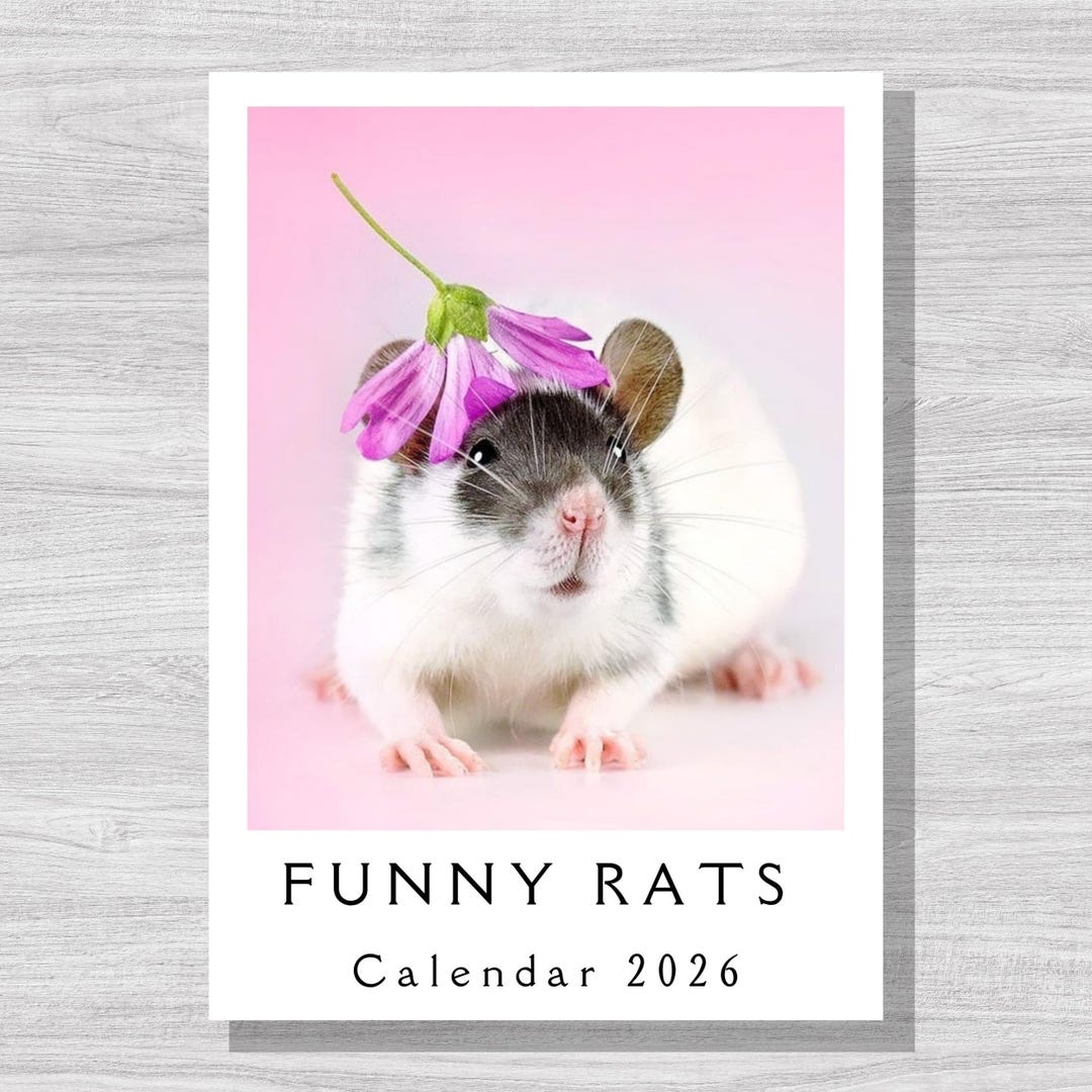 Funny Rats 2026 Calendar - Etsy