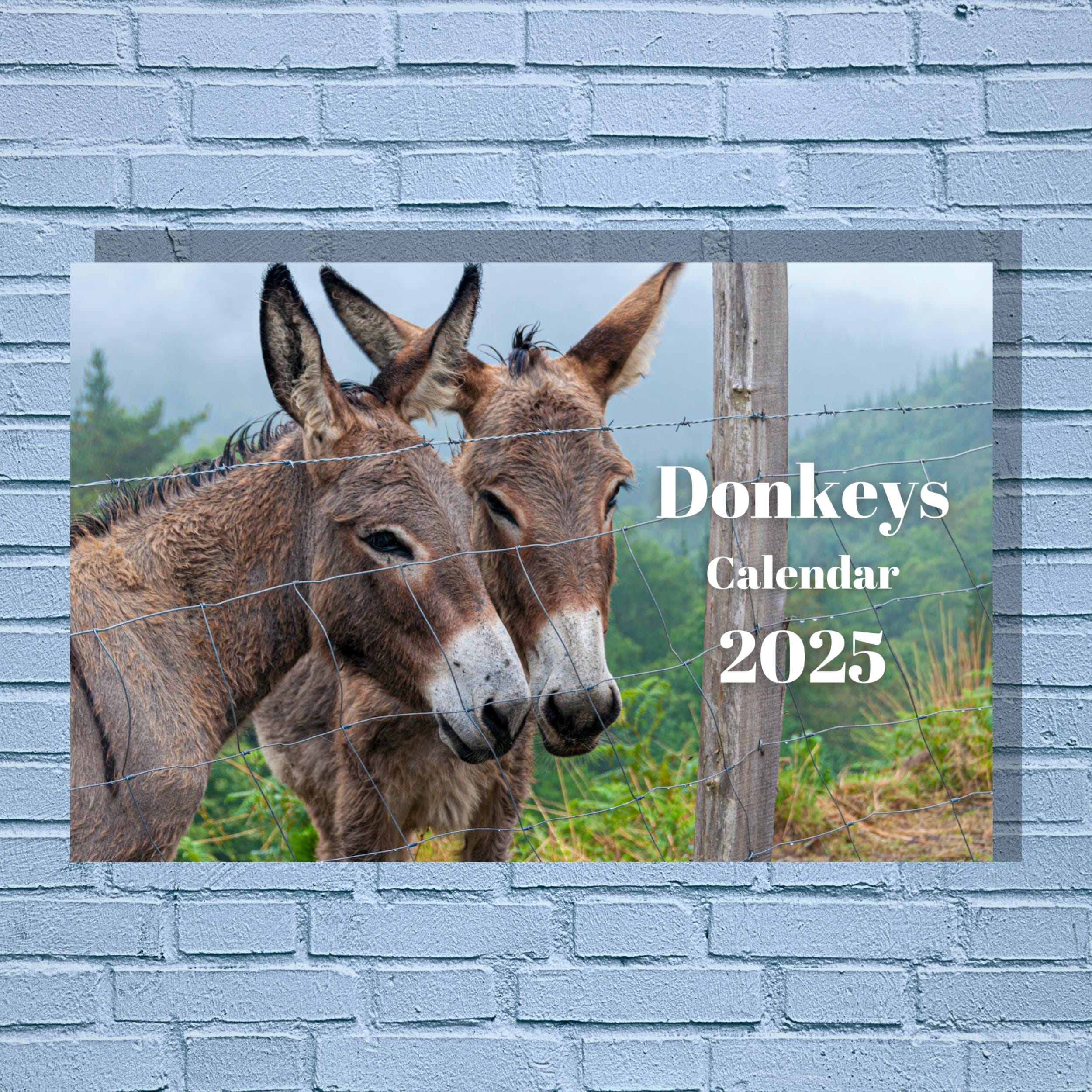 Donkeys 2025 Calendar - Etsy