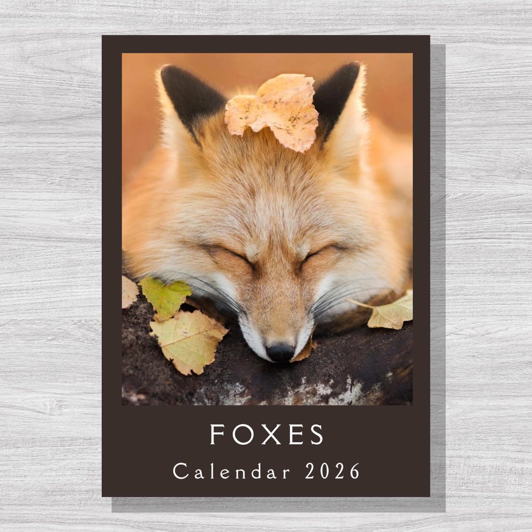 Foxes 2026 Calendar - Etsy UK